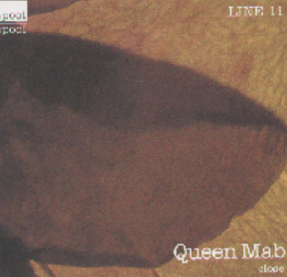 Spool | Navigating the Vast Landscape of Music